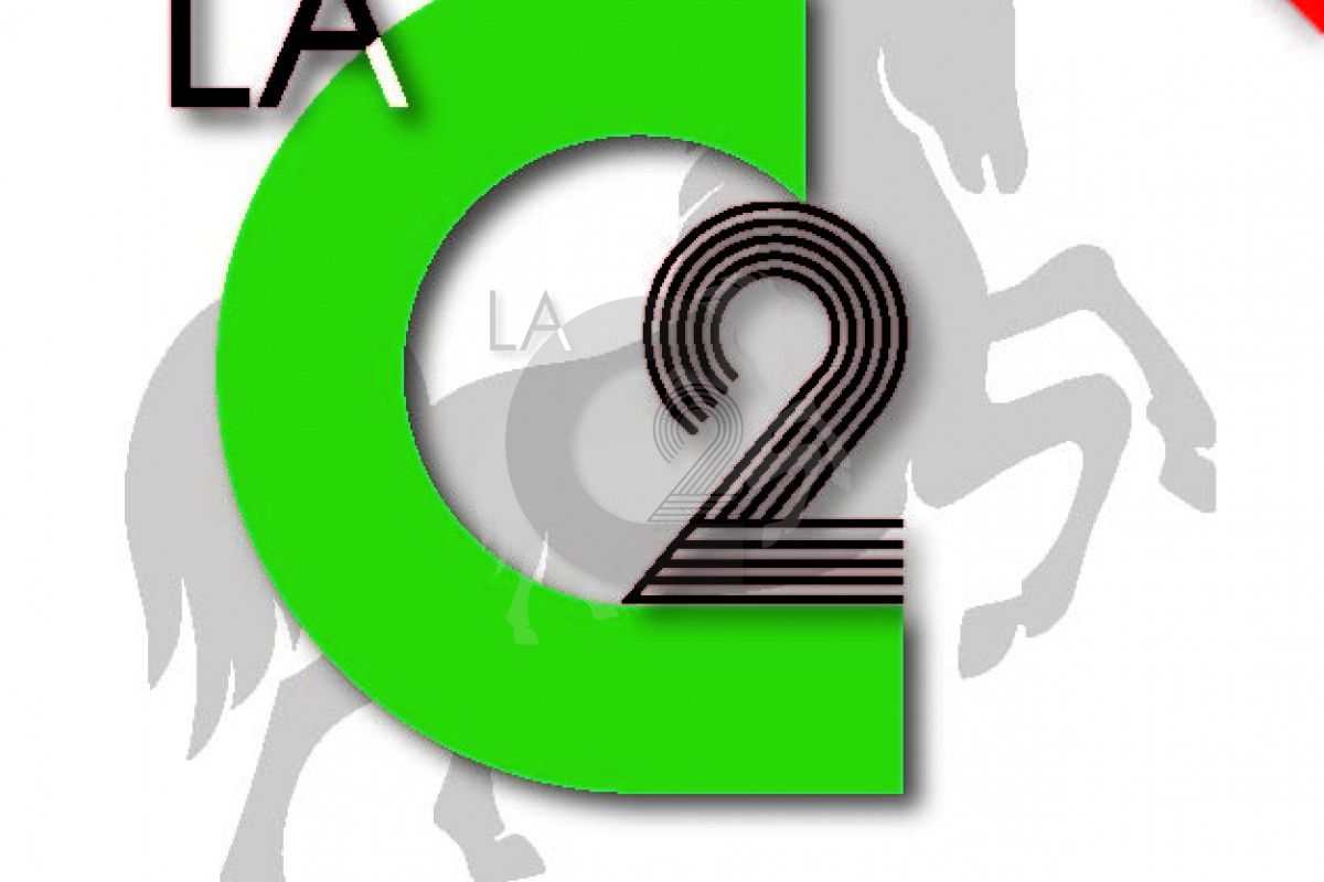 04 School kit | horse riding equipment - La C2 srl